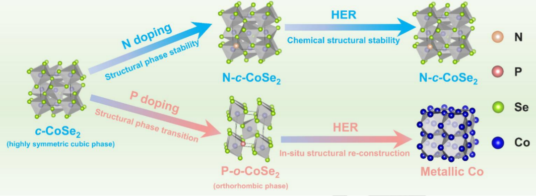 徐坤/谢毅院士团队Angew：厘清构效关系，电催化HER新进展 - 知乎