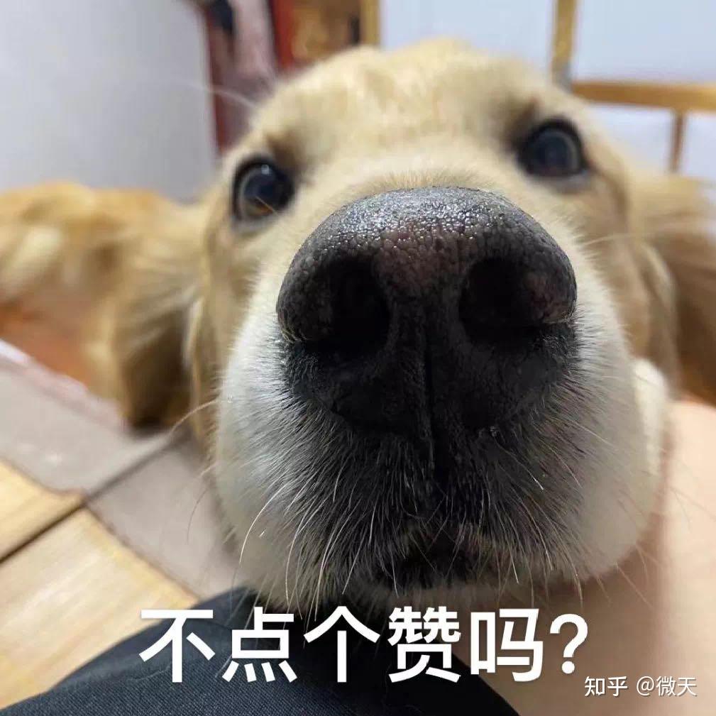 一位SAP关键用户对系统项目管理的吐血总结 - 知乎