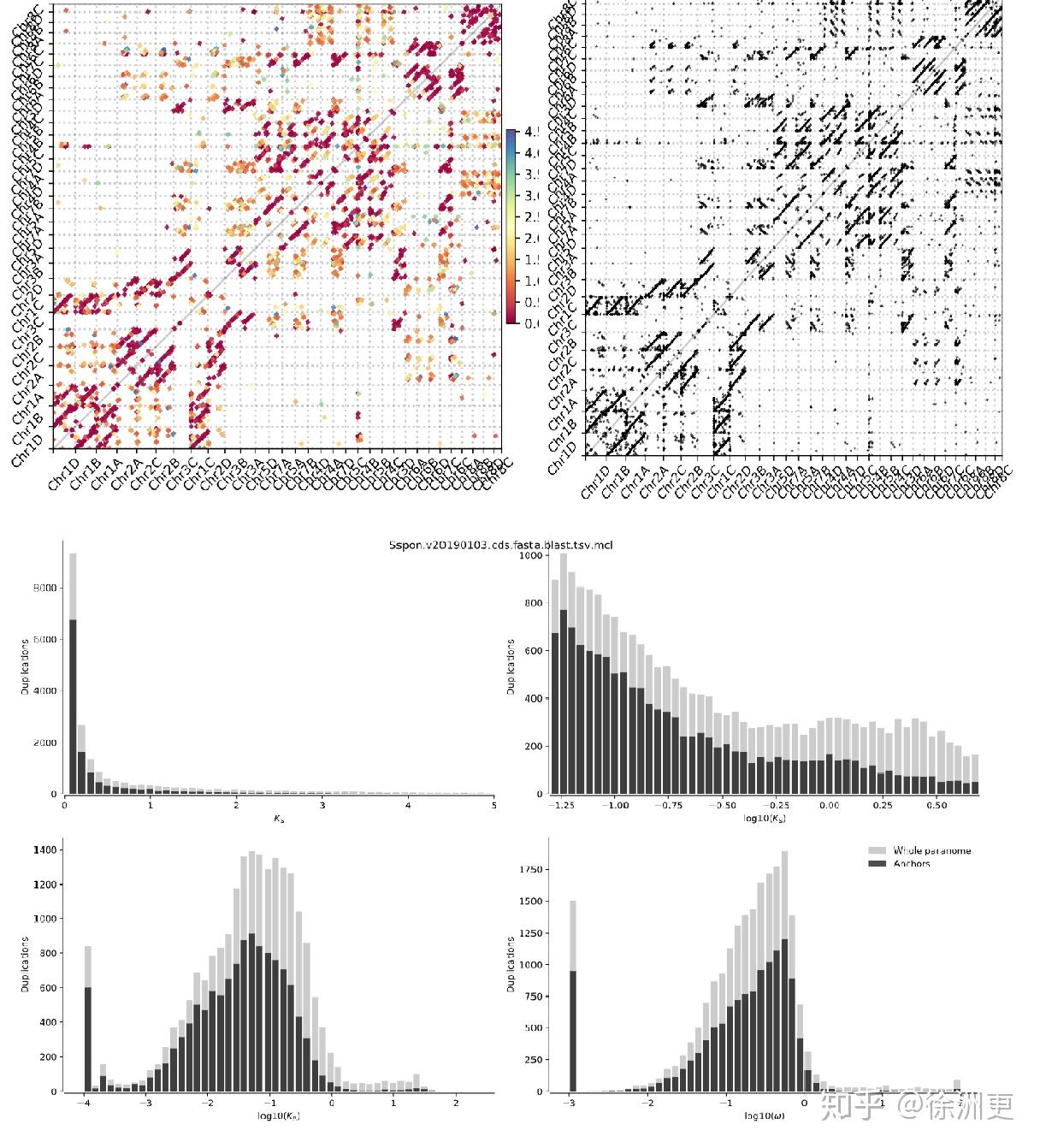 使用wgd进行全基因组复制分析 - 知乎