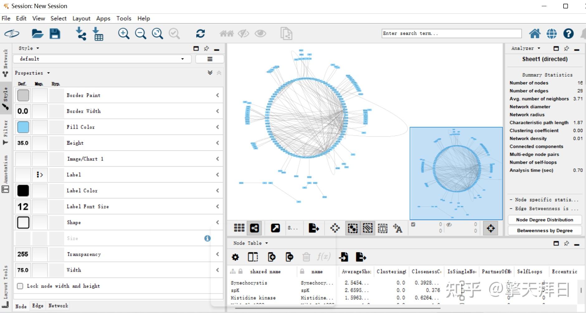 Cytoscape windows11详细安装教程（适用于中国大陆地区） - 知乎