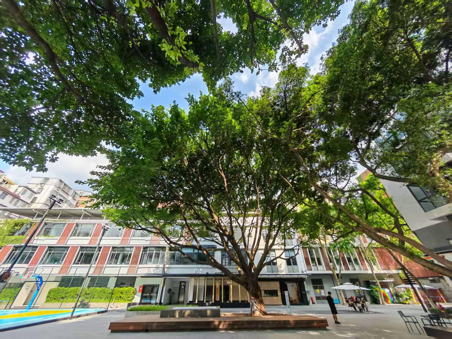 荣耀Magic V5 上手：轻薄史无前例，但体验有所妥协 - 知乎