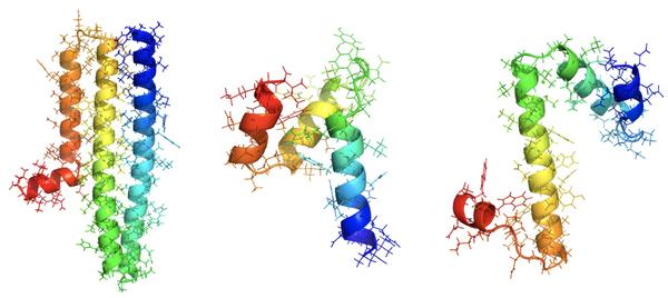 Rosetta SEWING: 拼接法生成全新蛋白 - 知乎
