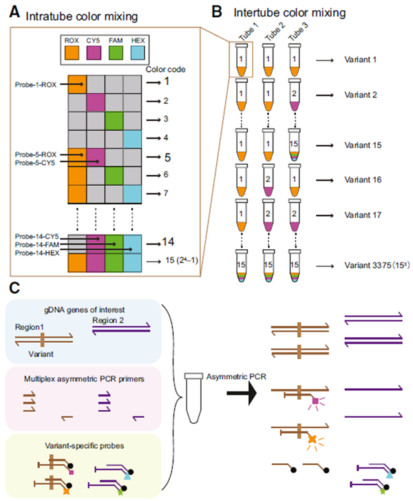 “阅”技术 | Color-Mix 策略大幅提高 qPCR 检测技术的通量 - 知乎