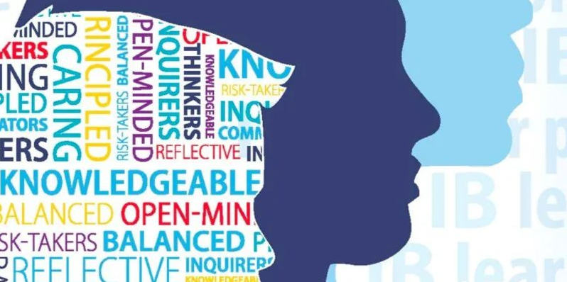 IB怎么选，申请更占优势？保姆级IB选课指南！看这一篇就够了！ - 知乎