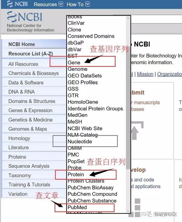 学姐教你如何利用NCBI寻找目的基因 - 知乎