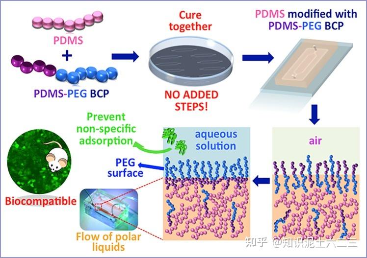 PDMS在微芯片、生物模型等方面的应用，你了解吗？ - 知乎