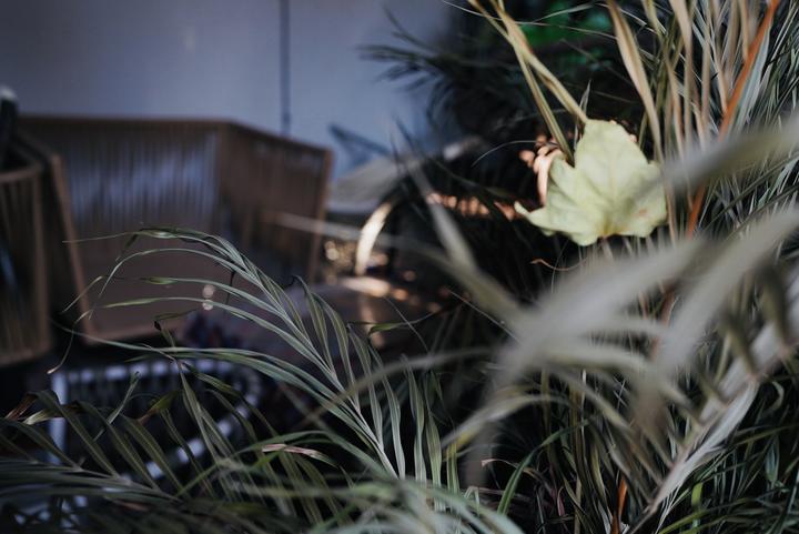 GLM: General Language Model Pretraining with Autoregressive Blank ...