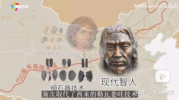 K-M525、NO-M214野生型基本源于中国东部，并非走南线 - 知乎