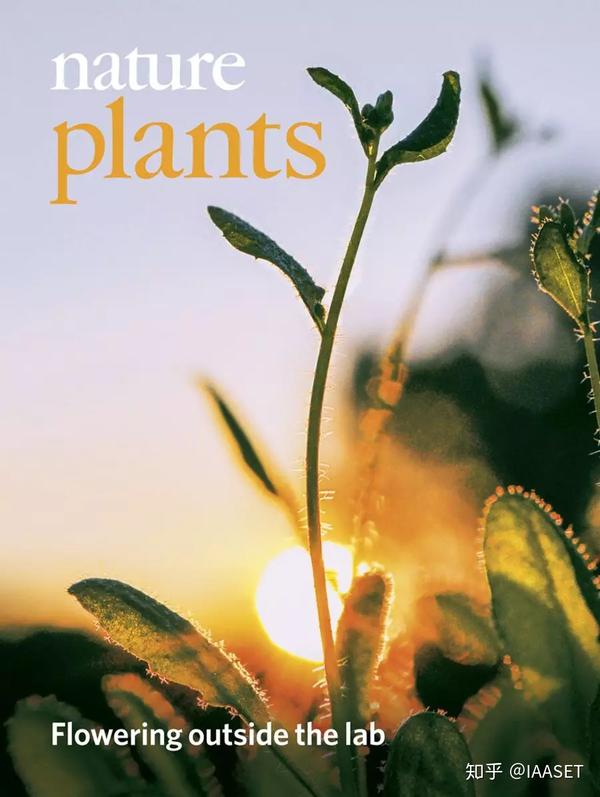 10月Nature子刊的45张封面，你pick哪一张？ - 知乎