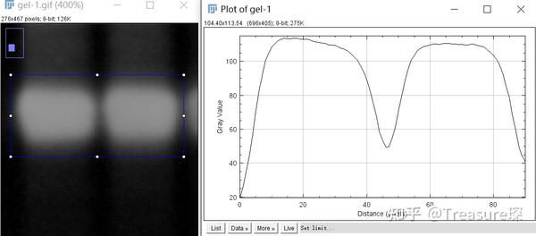 ImageJ实用技巧——Western Blot定量分析深入探究(定量分析篇) - 知乎