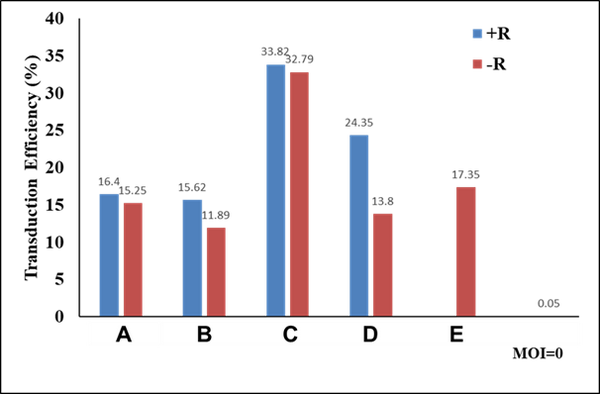 CGT系列 | CAR-T疗法工艺开发策略 - 知乎