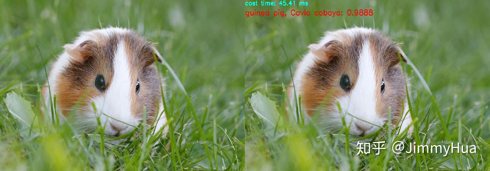 OpenCV图像处理-DNN模块之分类和检测应用 - 知乎