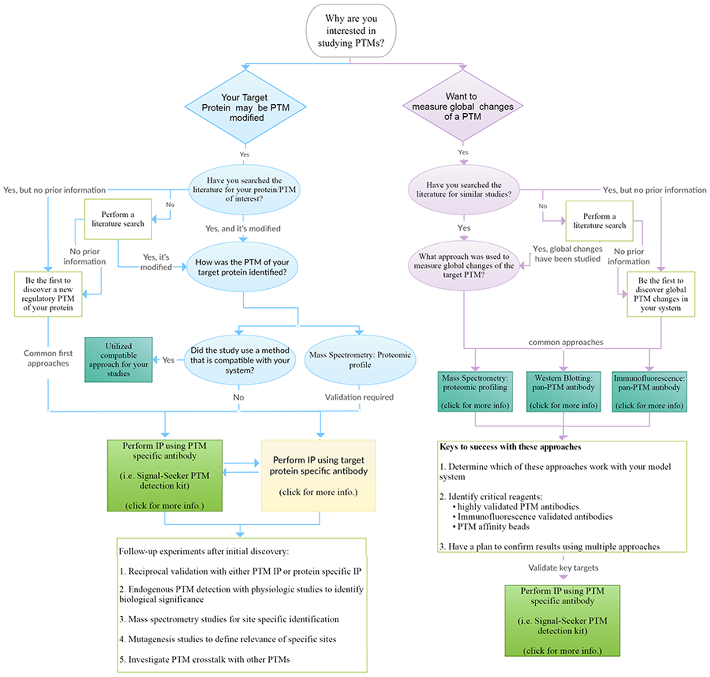 新手怎么研究翻译后修饰（PTMs）？6大实验Tips助力PTMs研究 - 知乎
