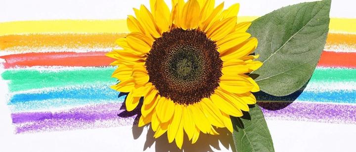 「注册ID」教你3分钟注册外区Apple ID账户 - 知乎