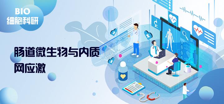 Genome Biol|Ramnik J Xavier团队揭示肠道细菌代谢物调节内质网应激机制 - 知乎