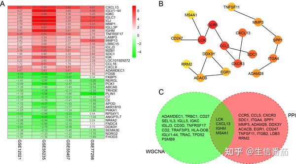 如何快速筛选关键基因？可以试试PPI网络 +WGCNA，外加免疫浸润分析，直接搞定4分+纯生信文章！ - 知乎