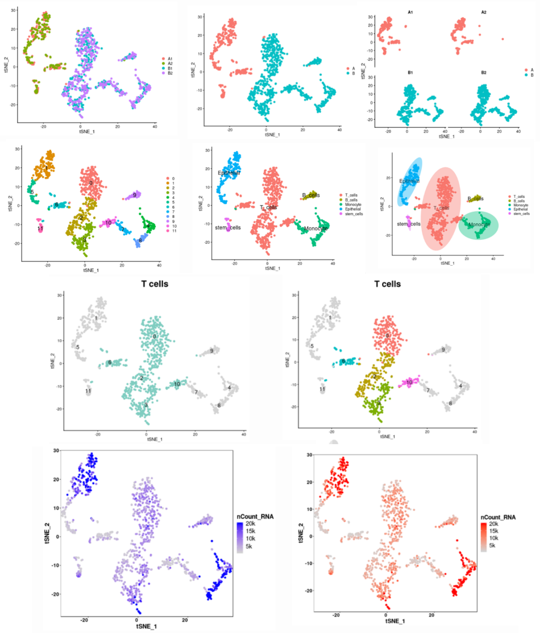 10X单细胞云工具 | tSNE图（附视频） - 知乎