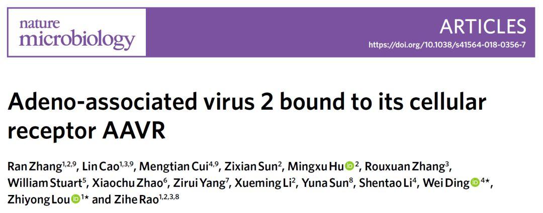 Nature子刊：清华大学娄智勇等解析AAV2及受体结构，为AAV载体的设计和优化指明方向 - 知乎
