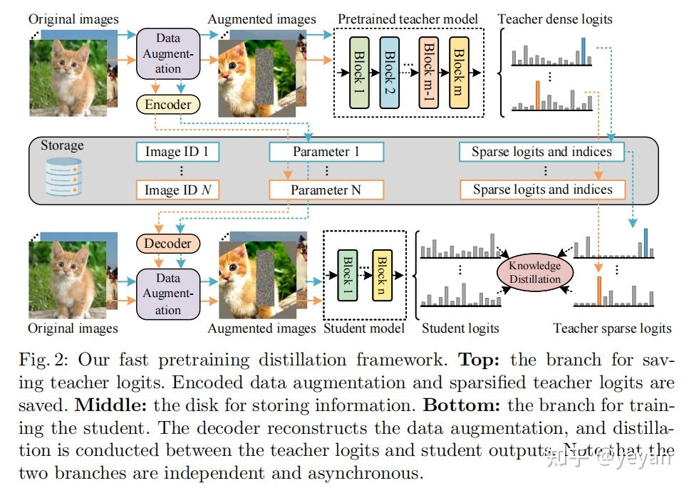 【论文解读】TinyVit:快速蒸馏vit,可替换sam的vit（mobilesam） - 知乎