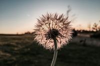 Pytorch | tensor 切分方法 - 知乎