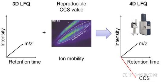 4D-Label free 技术助力高深度磷酸化蛋白组测序 - 知乎