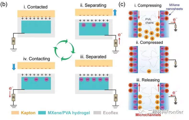 Adv. Funct. Mater:一种基于MXene/PVA水凝胶的柔性多功能三角电纳米发电机 - 知乎
