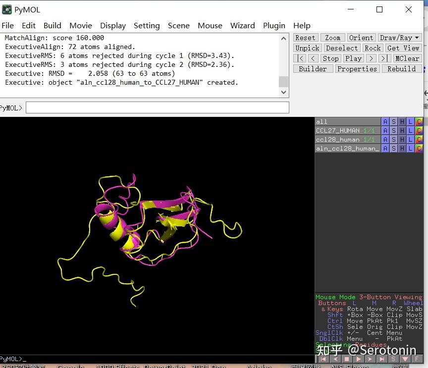 PyMOL小白自留教程6——蛋白结构的比对 - 知乎