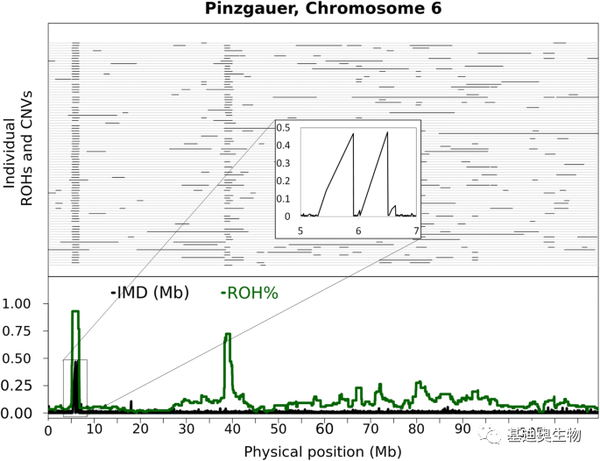 更精准的近交评估分析策略—ROH介绍及应用 - 知乎