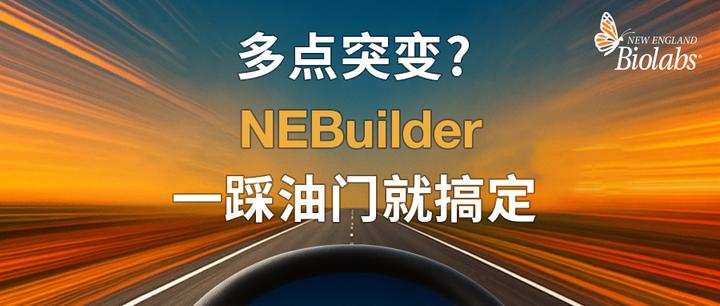 多点突变，NEBuilder 一踩油门就搞定 - 知乎