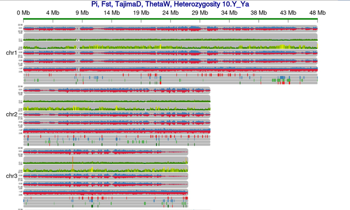 RectChr之 两个群体比较 之 受择选信号+选择区域 - 知乎