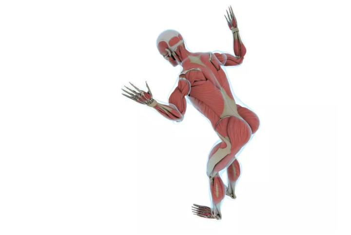 用YWTL来改善久坐或驼背所带来的问题 - 知乎