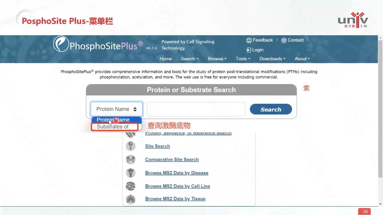 巧用 Uniprot、PhosphoSite、BLAST，高效挖掘蛋白信息 - 知乎