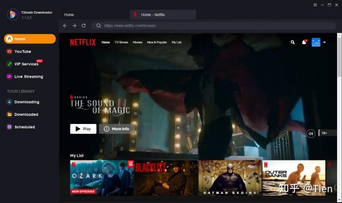 离线观看 Netflix：Y2Mate Netflix 下载器 - 知乎