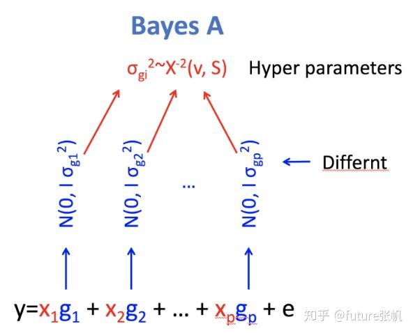 利用GAPIT进行gwas和gs分析（附带方法介绍） - 知乎