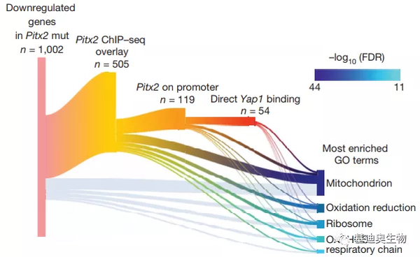 生信分析中的桑基图应用实例及绘制方法 - 知乎