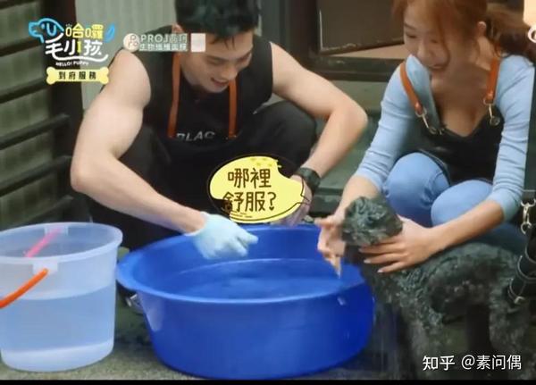 台综艺上郭书瑶给狗洗澡,胸部频繁走光,是故意还是不知情? 知乎