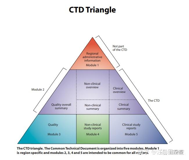 ICH M4框架整理——思维导图 - 知乎