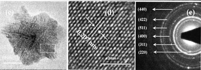 DBCO-PEG coating Fe3O4 nanoparticles（10nm） ，点击化学DBCO-PEG包裹四氧化三铁10nm - 知乎