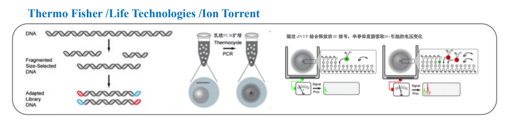 IVD市场分析丨基因测序（NGS）篇 - 知乎