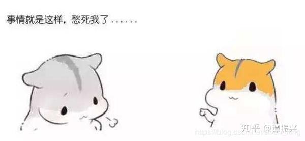 Bitmap图片压缩，大图加载防止oom 知乎