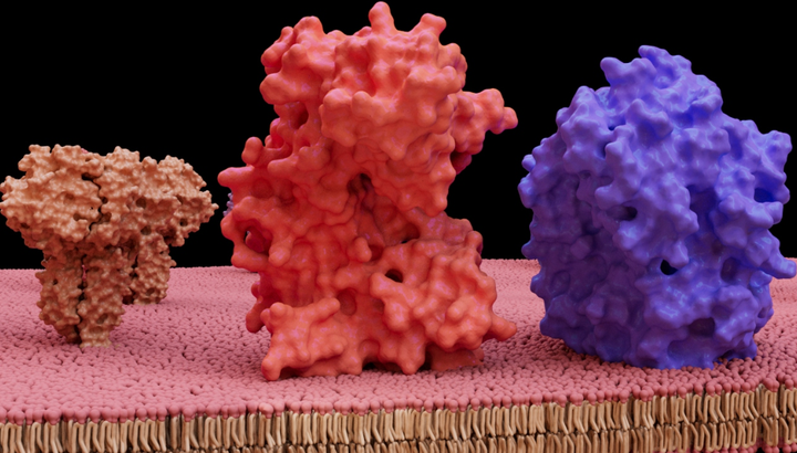 Nat. Commun. | 使用AlphaFold和蒙特卡洛树搜索预测大型蛋白质复合物 - 知乎
