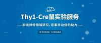 锥体神经元研究利器—Thy1-Cre鼠实验服务 - 知乎