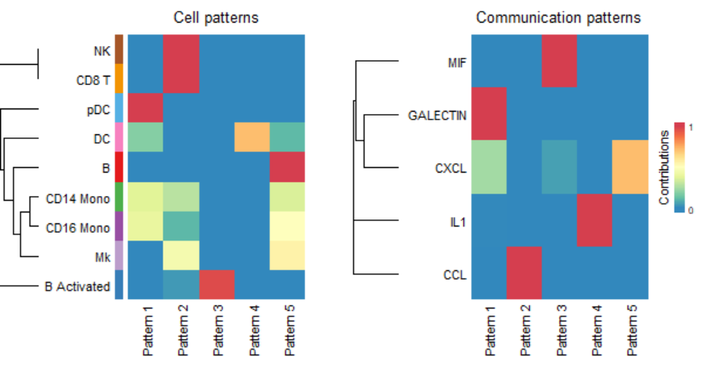 cellchat细胞通讯9-分泌细胞的outing/incoming通讯模式 - 知乎
