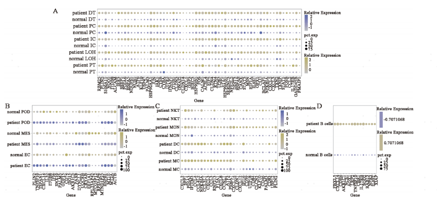 项目文章 | 单细胞测序描绘缺血性急性肾损伤的转录景观 - 知乎