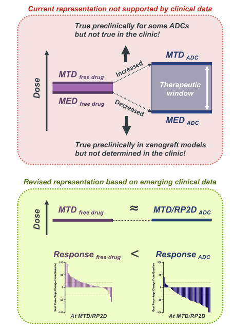 ADC是否真的提高了所预想的小分子药物的治疗窗口 - 知乎