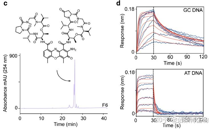 BLI应用案例：利用BLI技术筛选验证小分子药物 - 知乎