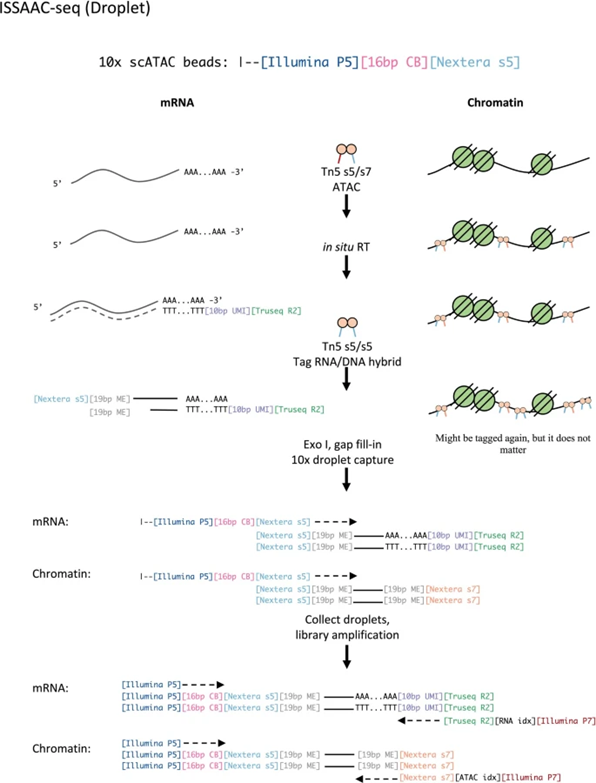 2022年Nature Methods那些令人印象深刻技术进展 - 知乎