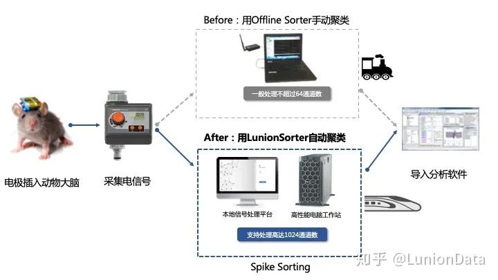 一文看懂为什么Spike Sorting需要LunionSorter（附上详细步骤） - 知乎