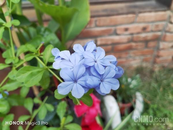 实至名归！荣耀Magic3系列获CNMO年度影像技术创新奖 - 知乎