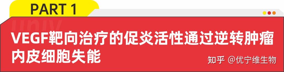 两篇肿瘤血管生成相关文献，搞清思路就简单了 - 知乎